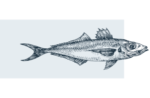 Southstream Seafoods